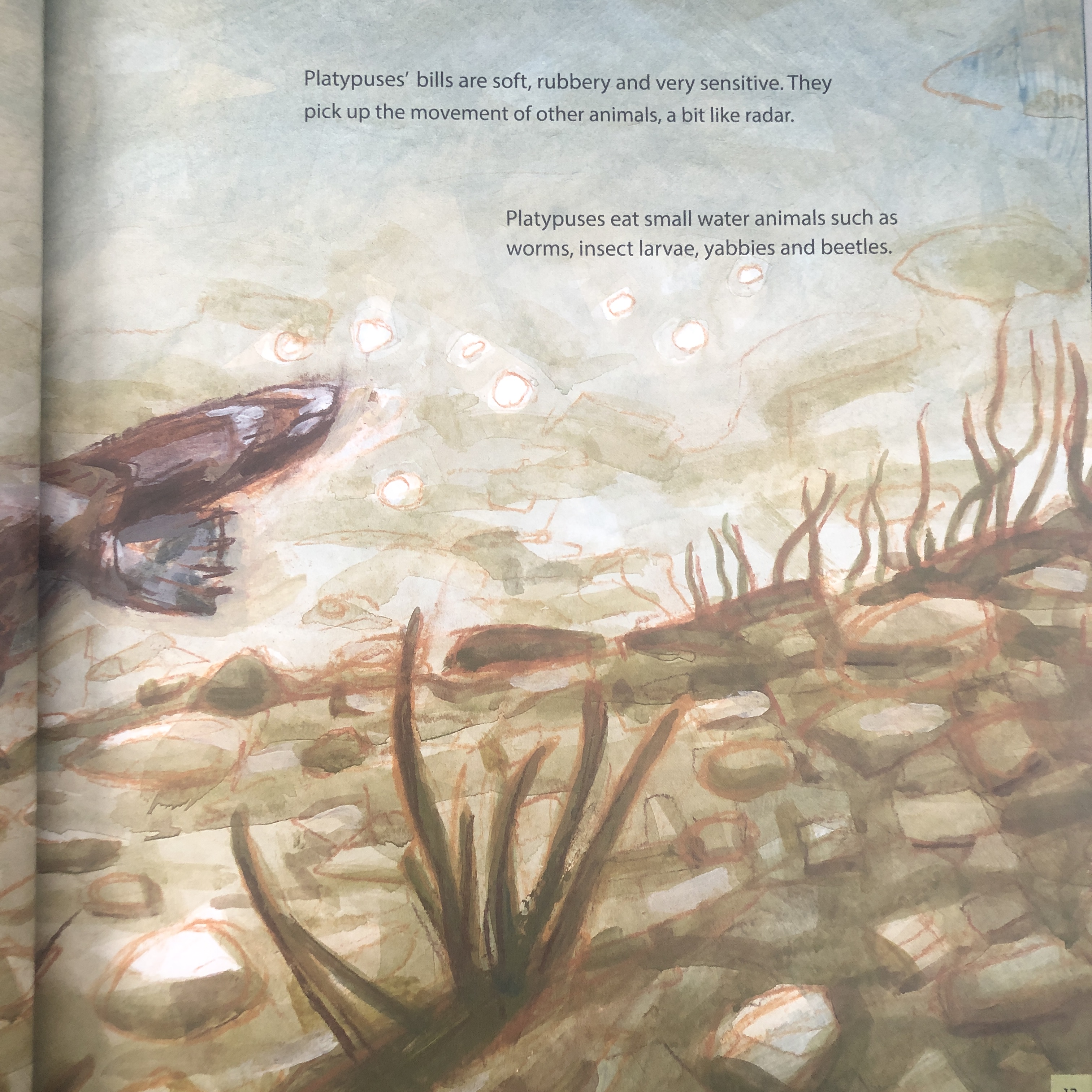 6+1 Traits of Writing Mentor Texts: Organisation | Mrs Fintelman Teaches