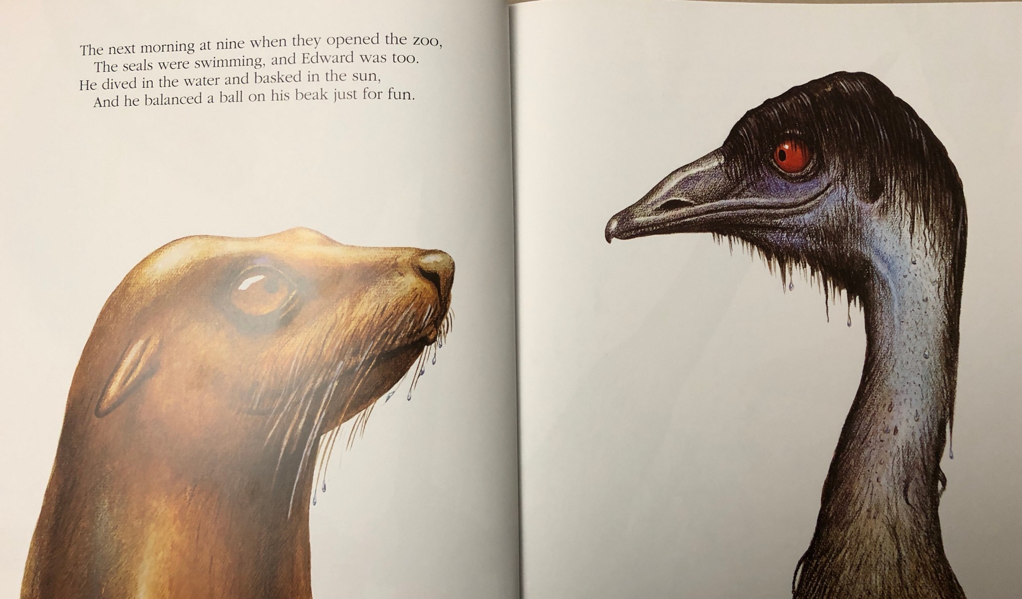 6+1 Traits of Writing Mentor Texts: Voice | Mrs Fintelman Teaches